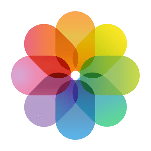 The Joy of Photography. - The Digital Tavern